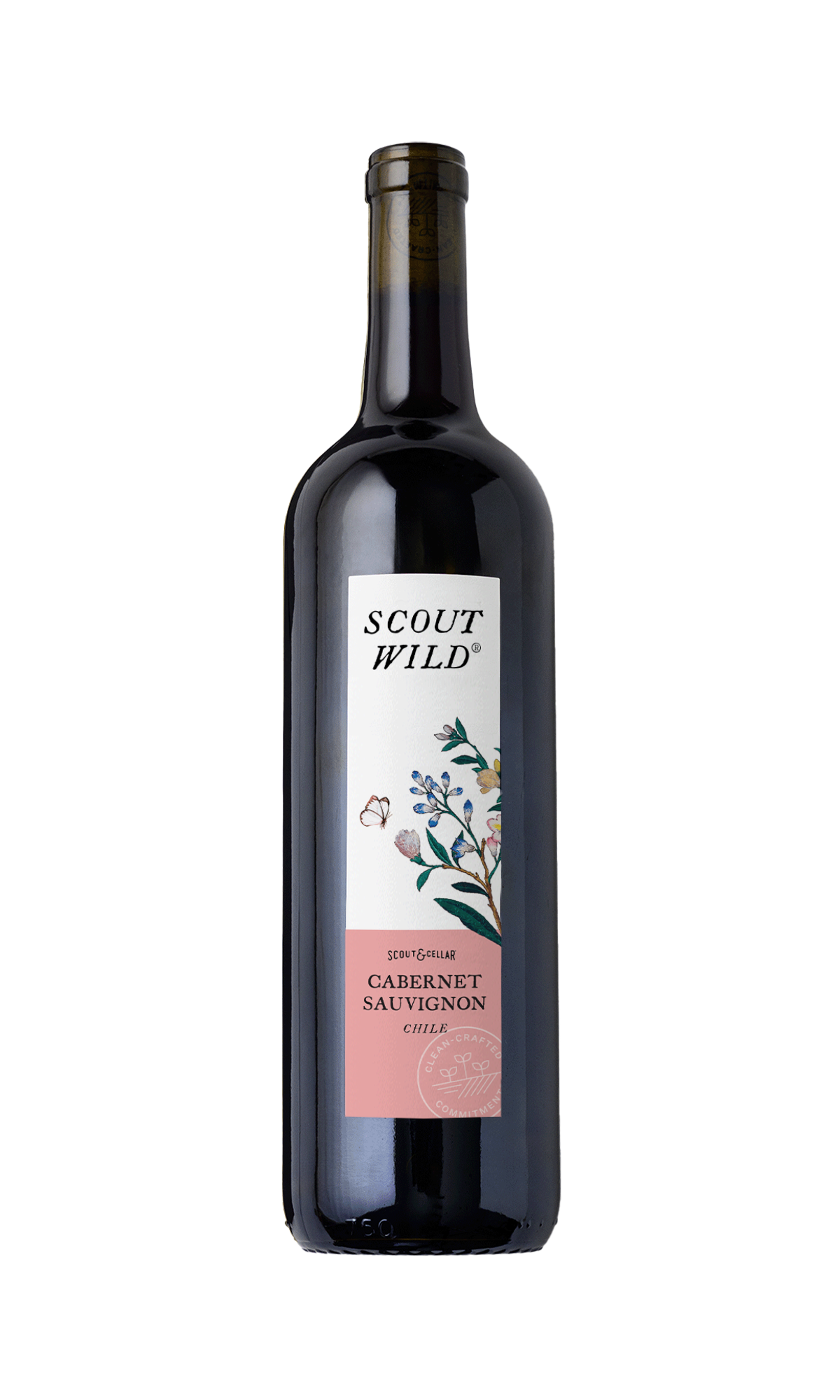 Scout Wild Cabernet Sauvignon, Chile – Scout & Cellar